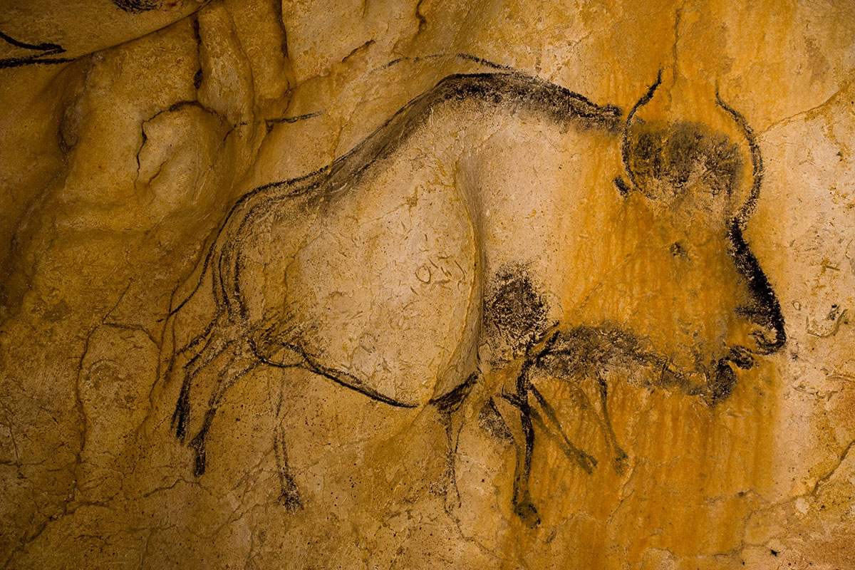 bison-peinture-animee-grotte-chauvet-caverne-pont-arc – Courry